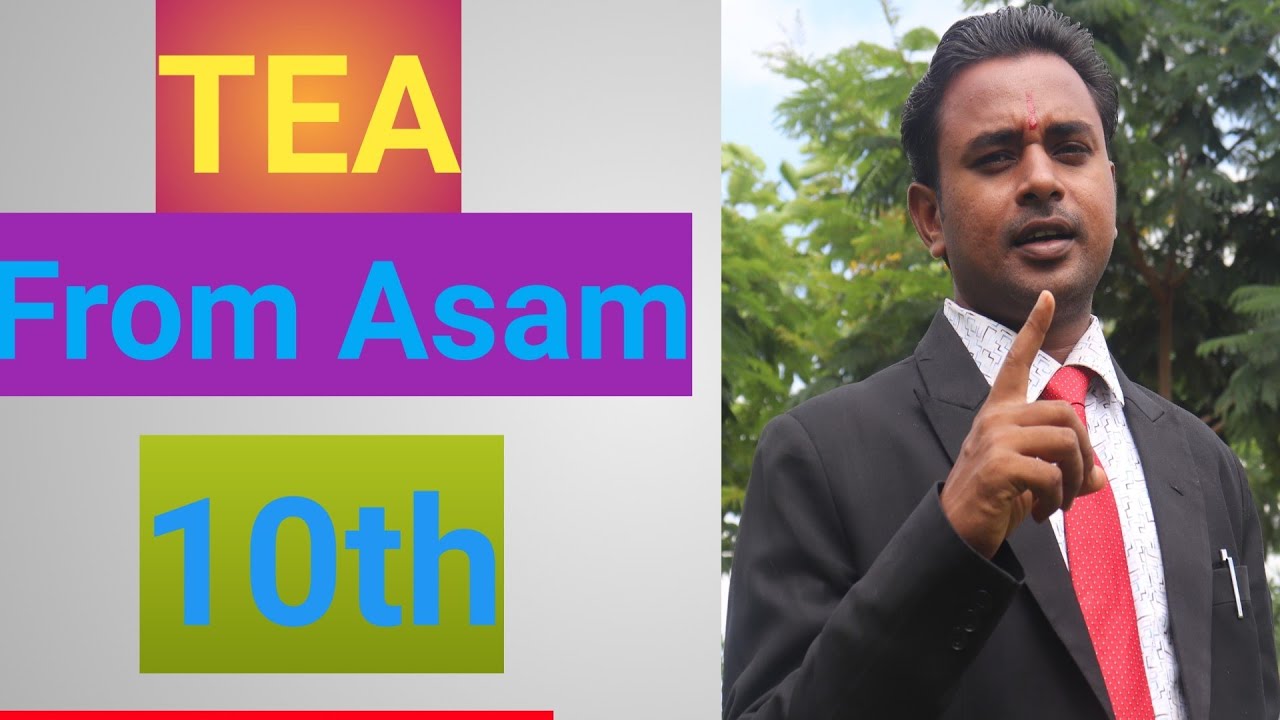 Tea From Asam 10th/English Zone/Pradeep Narayan - YouTube