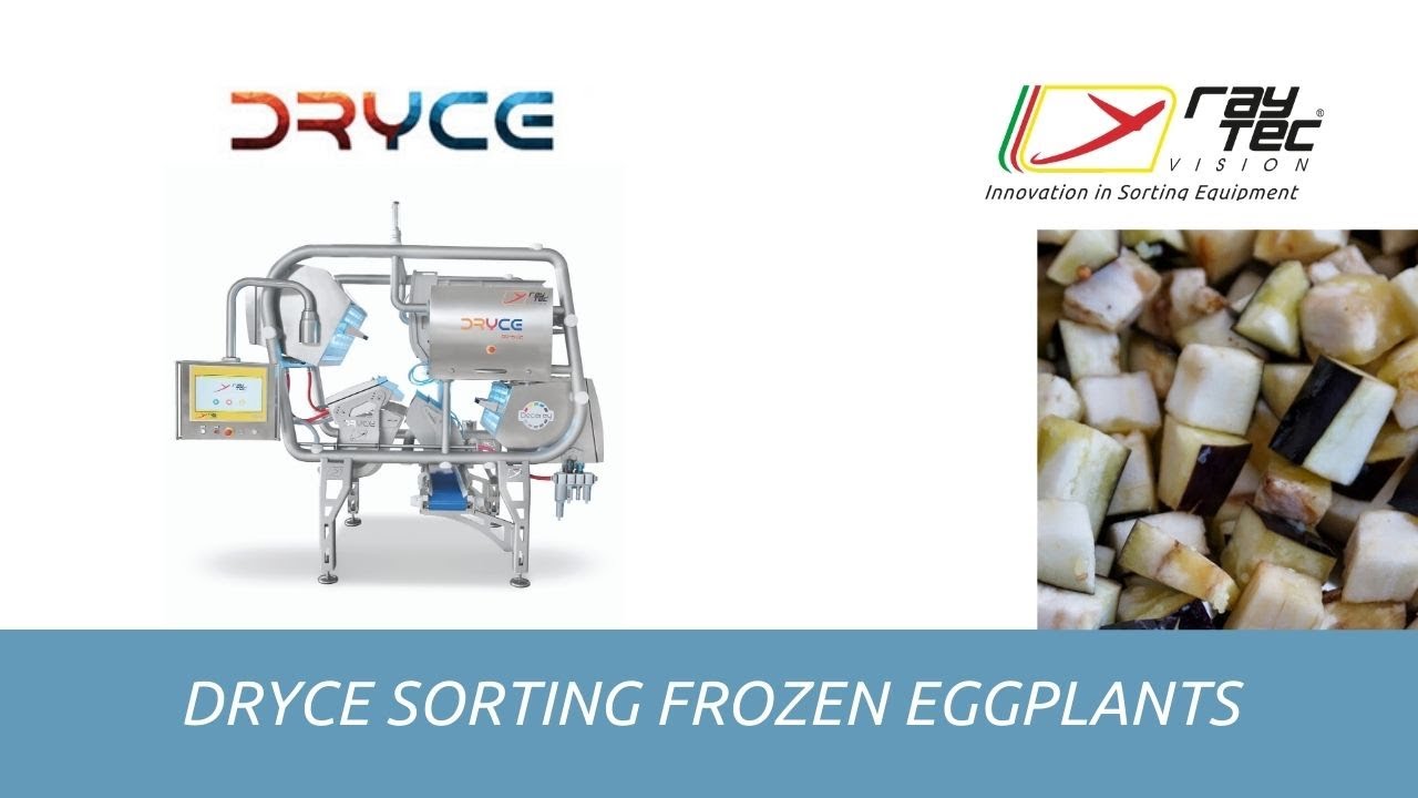 Dryce sorting frozen eggplants | Raytec Vision - YouTube
