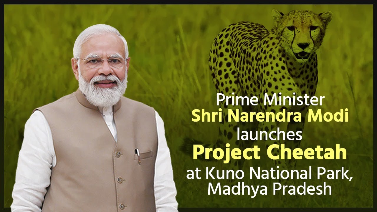 PM Shri Narendra Modi launches Project Cheetah at Kuno National Park ...