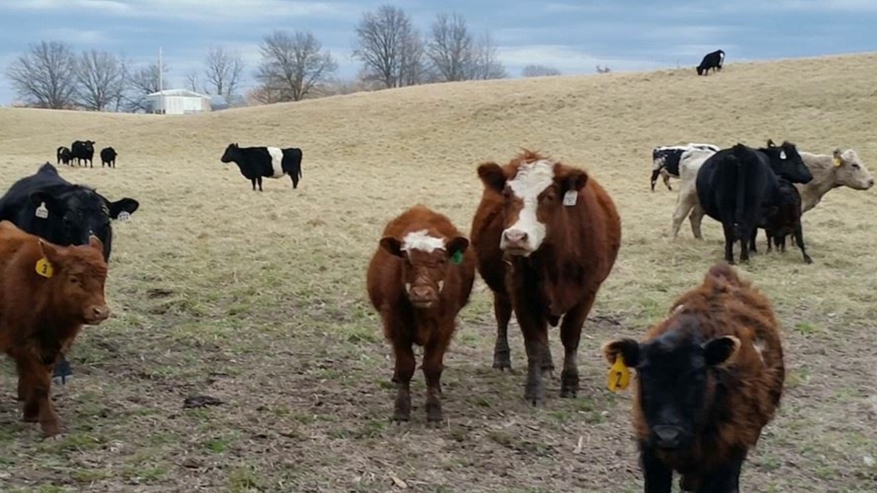 Red Barn Farm Meats LLC. - YouTube