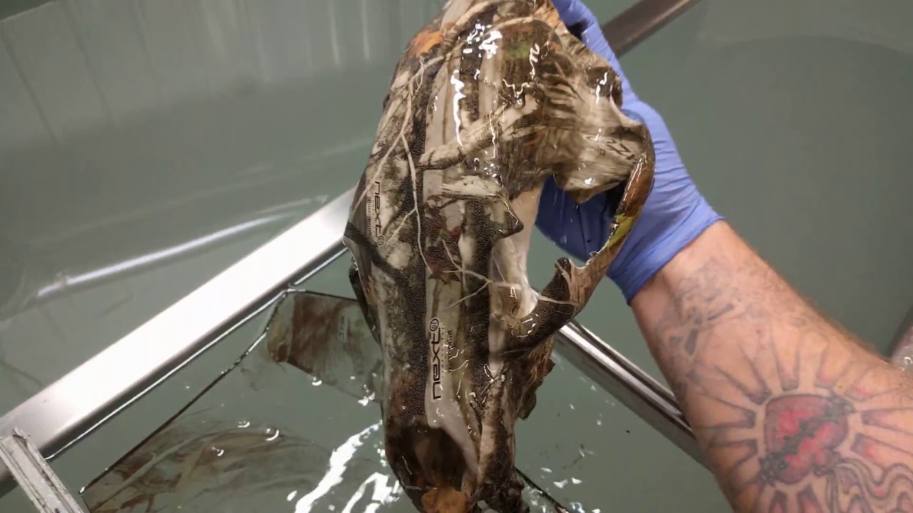 Bear skull mount - YouTube