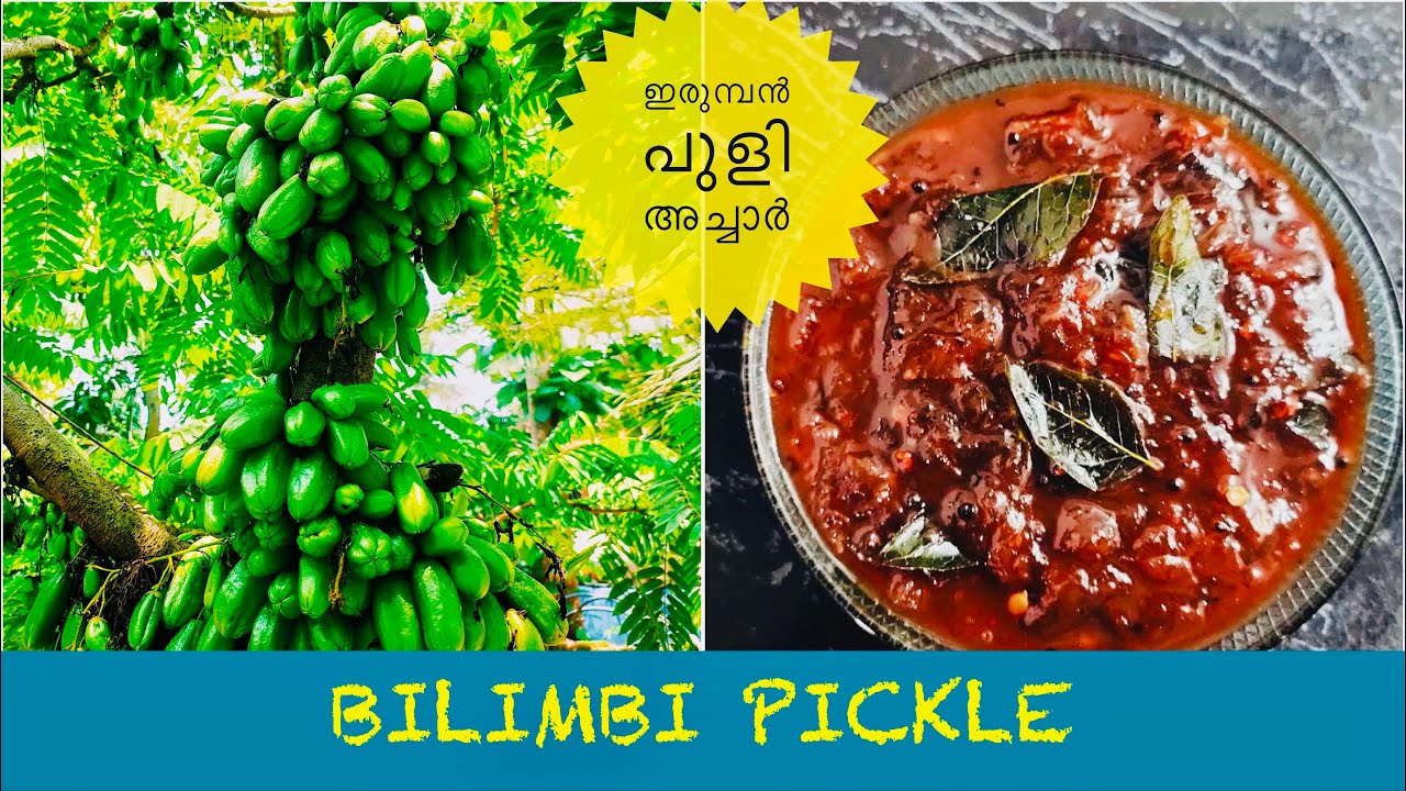 BILIMBI PICKLE | ഇരുമ്പൻ പുളി അച്ചാർ | YUMMY EASY RECIPE | - YouTube