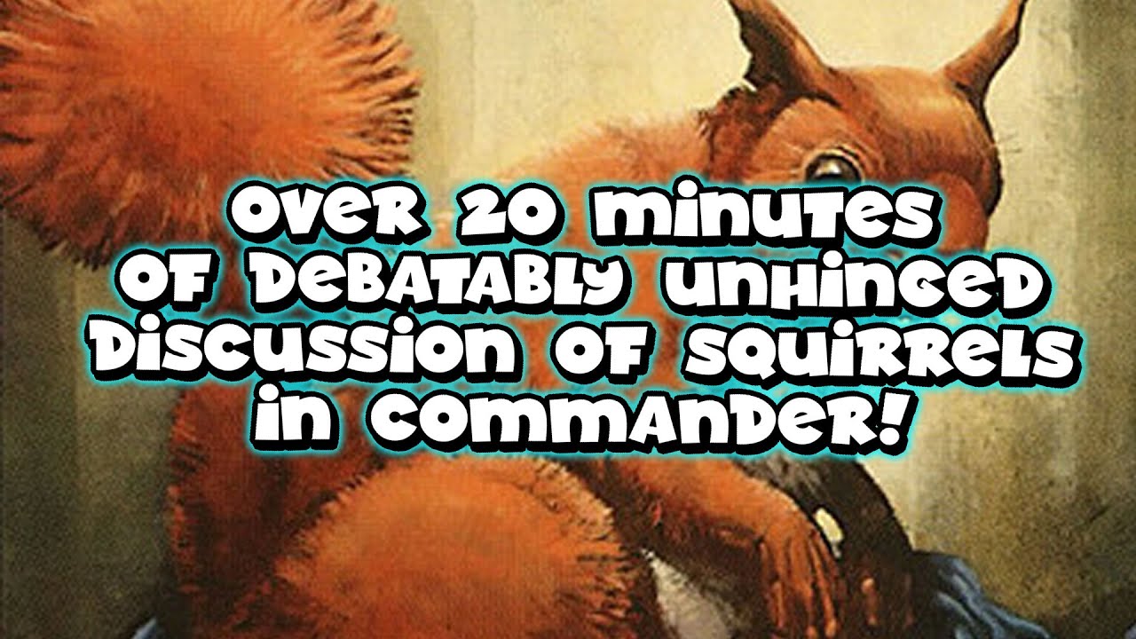 Over 20 Minutes of Debatably Unhinged Discussion of Squirrels in ...