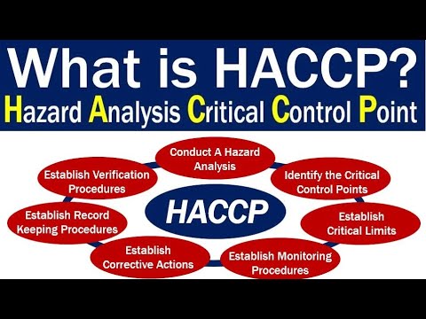 HACCP MEANING | WHAT IS HACCP DEFINITION | WHY HACCP IS IMPORTANT FOR ...