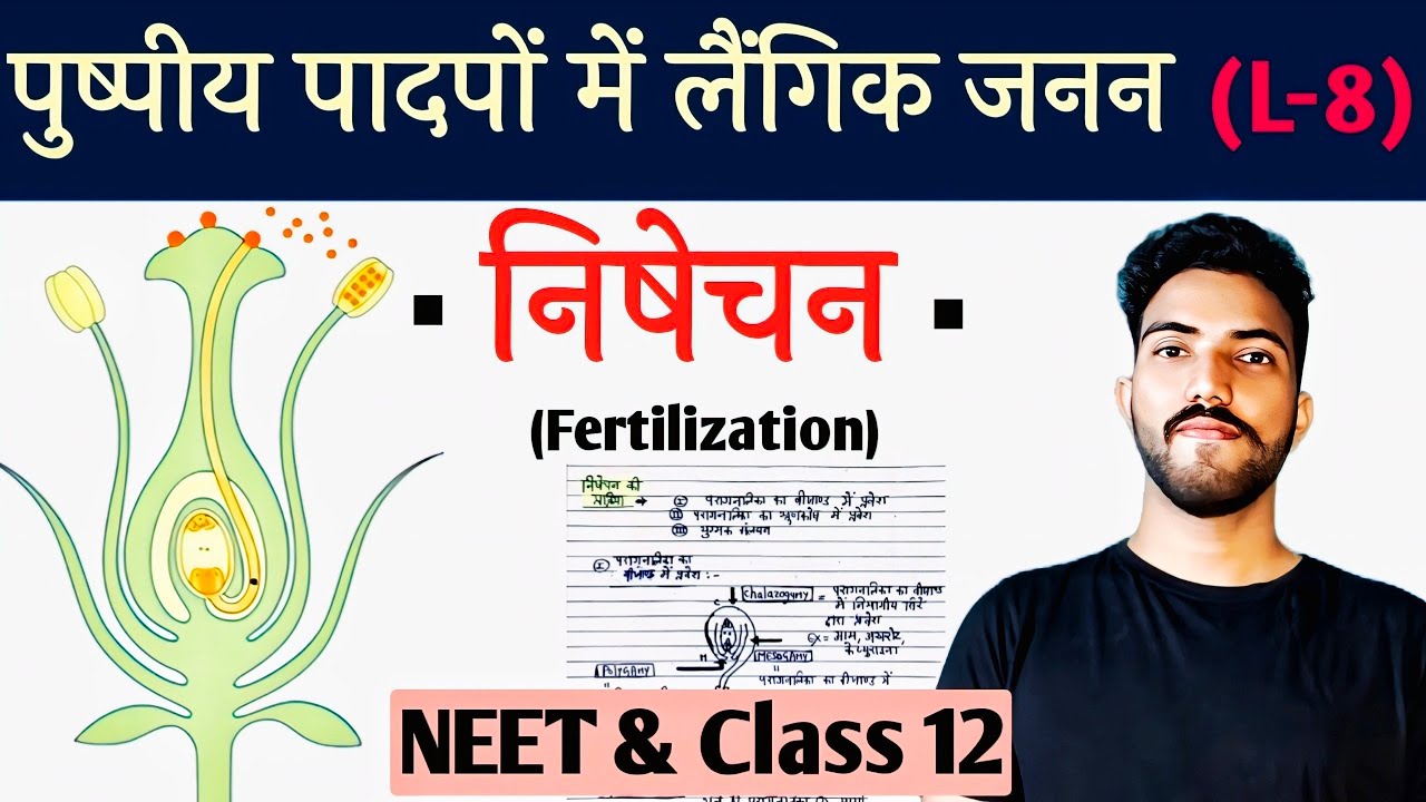 Fertilization in Angiosperms | Double Fertilization | Class 12 Biology ...