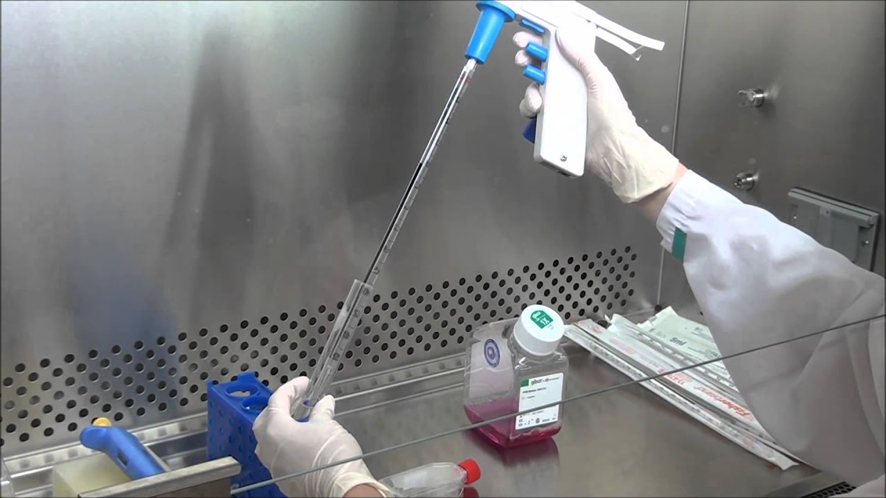 Subculturing HEP- 2 cells - YouTube