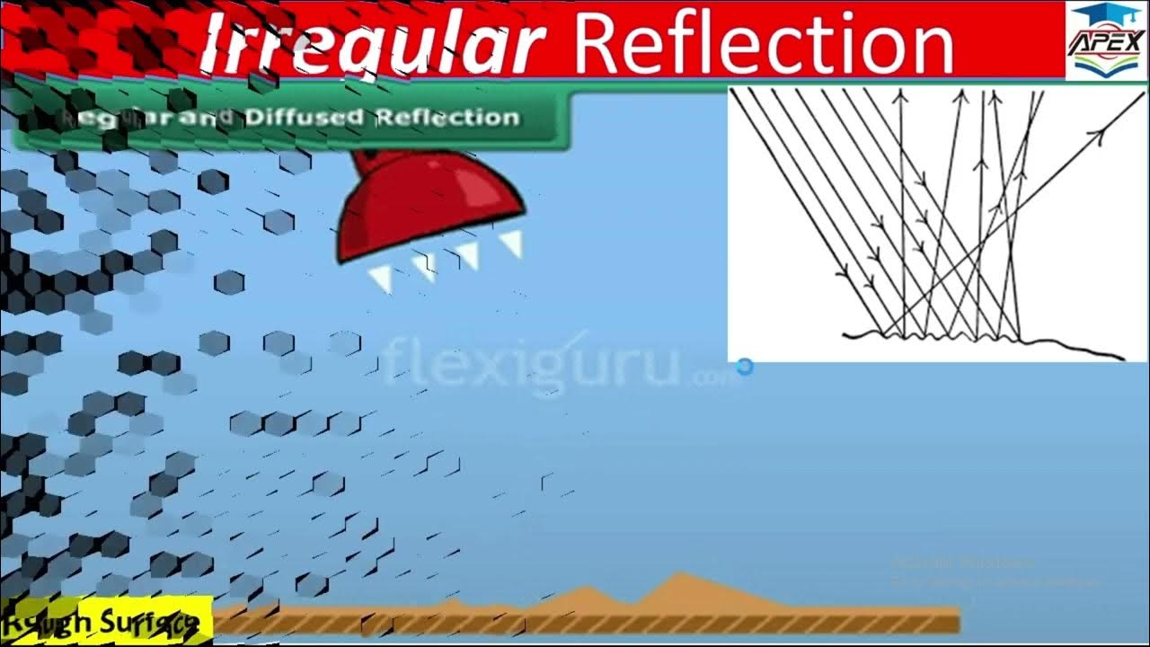 L#2 | Type of reflection | Regular and irregular reflection | Ch#12 ...