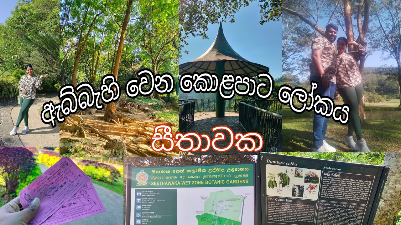 Seethawaka Wet Zone Botanic Garden| සීතාවක තෙත් කලාපීය උද්භිද උද්‍යානය🌳 ...