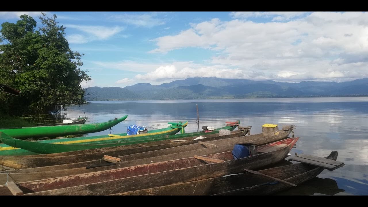 Otw desa Tomado / danau Lindu - YouTube