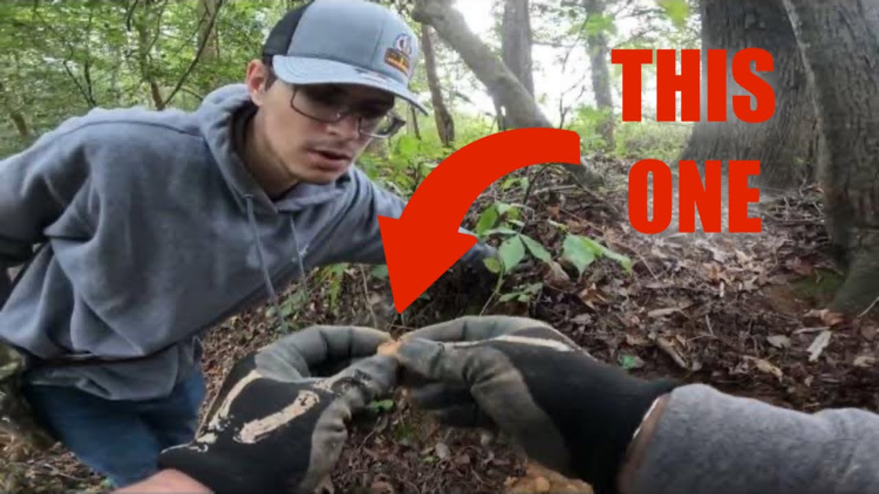 Discovering Hidden Treasures: Metal Detecting's Secrets to Finding the ...