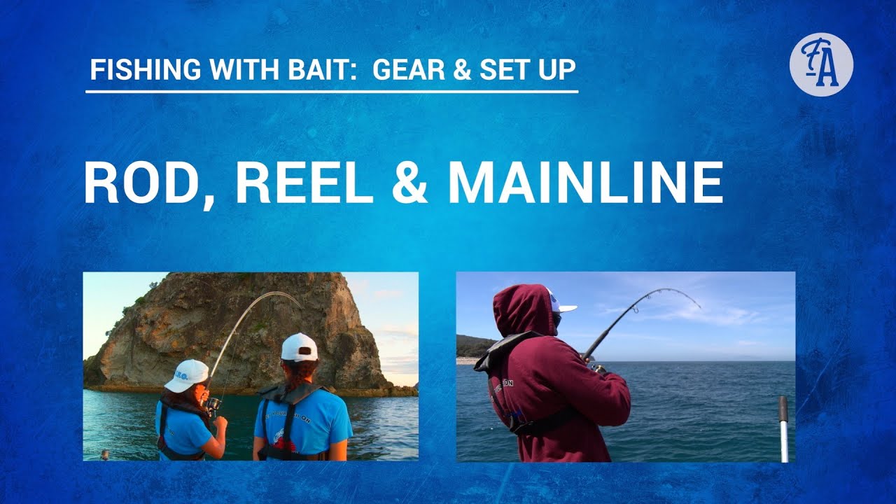 BAIT FISHING: Rod & reel basics, fishing gear guide for strayline ...