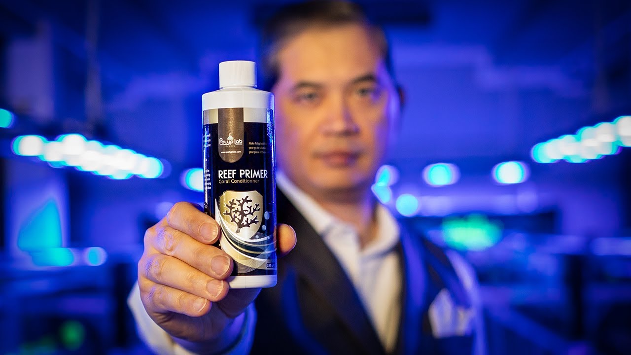 The best coral dip we've ever used | Reef Primer - YouTube