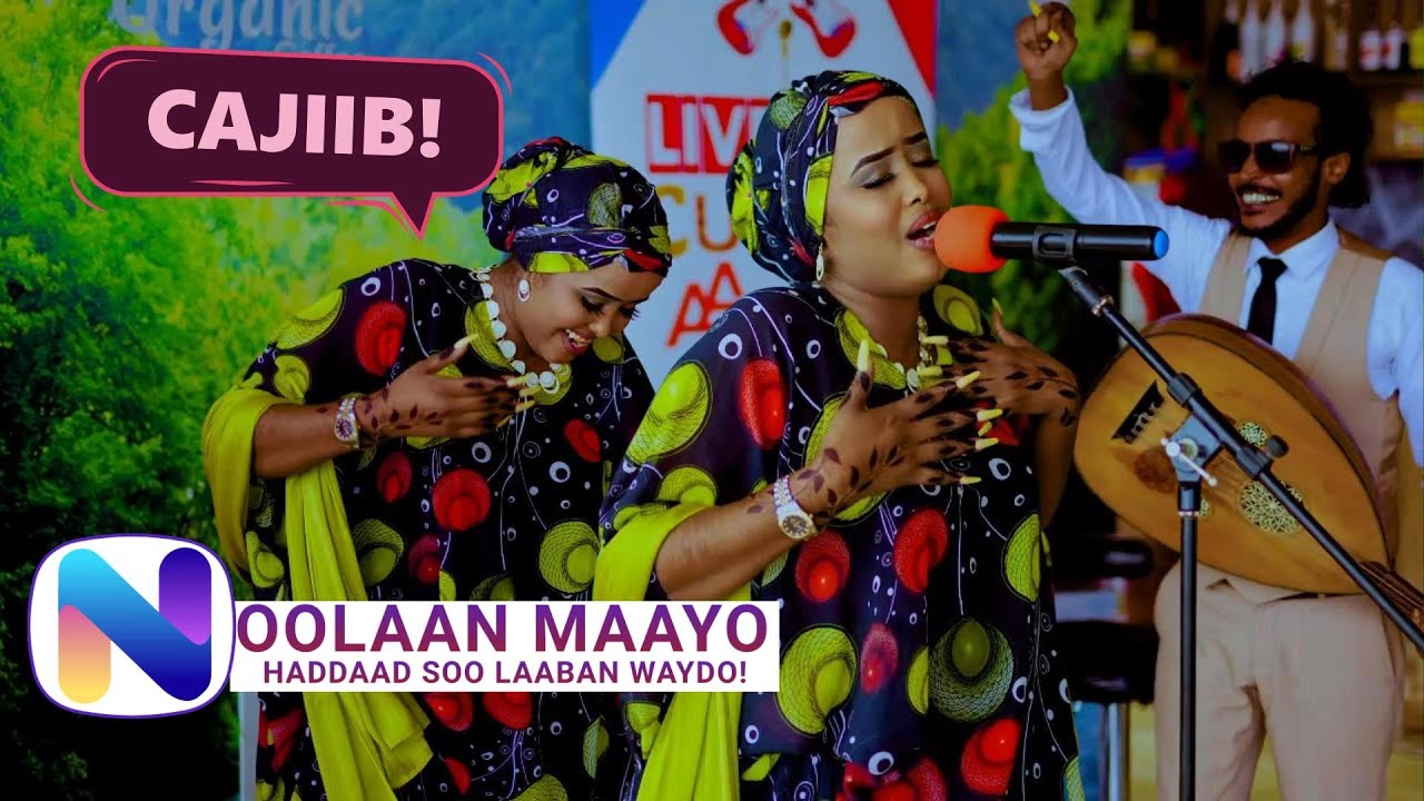 NADIIRA NAYRUUS | LAHASHADA KALGACAL | LIVE MUSIC | CUUDKA ...