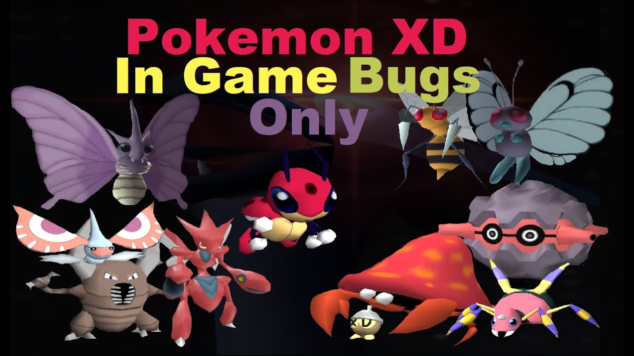 Pokemon XD In Game Bug Types Only Challenge - YouTube