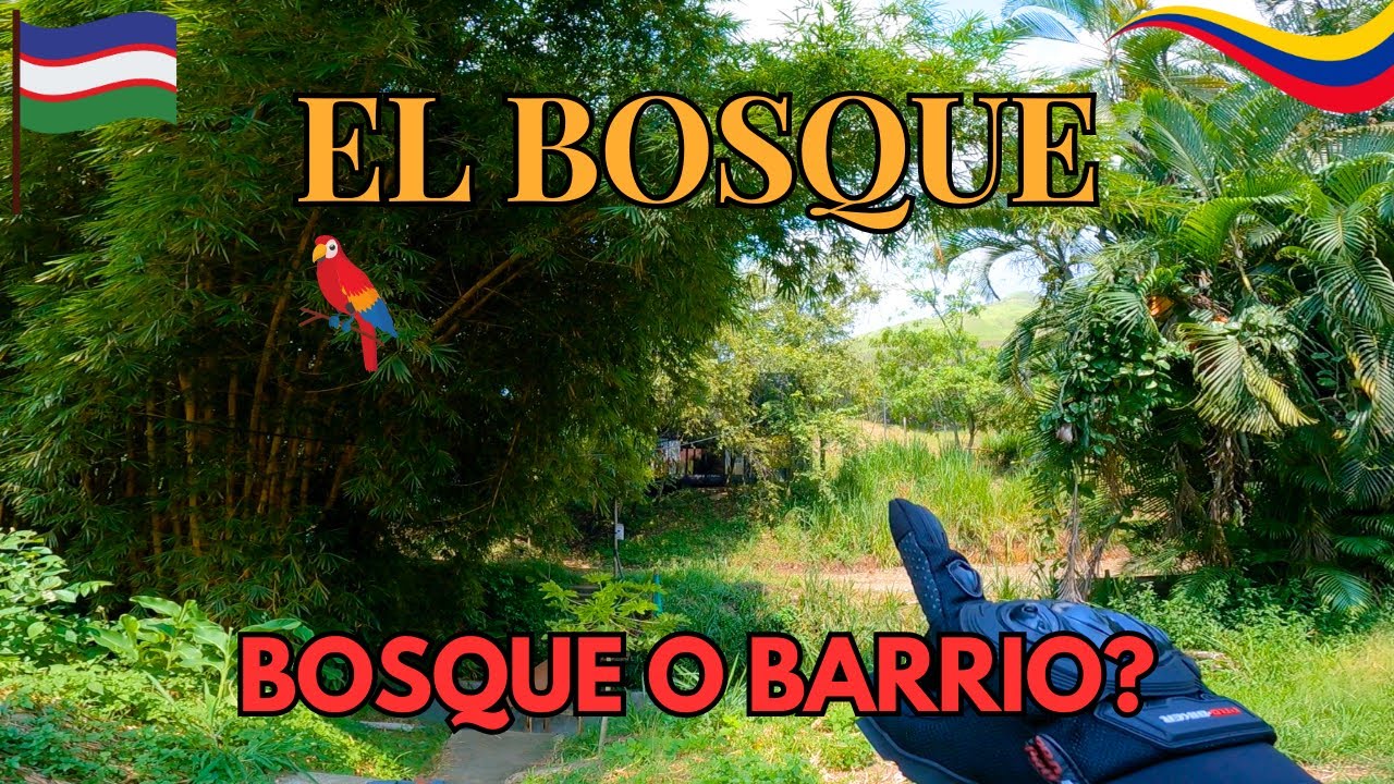 CALI 🇨🇴 EL BOSQUE conoces este barrio? Motovlog - YouTube