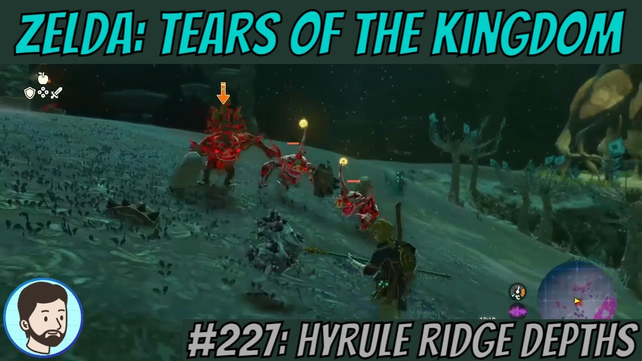 The Legend of Zelda: Tears of the Kingdom (Switch) - Part 227: Hyrule ...