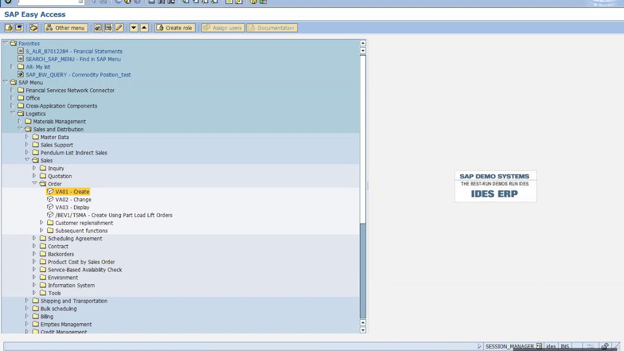 SAP Level 1 Finance - E1 - YouTube