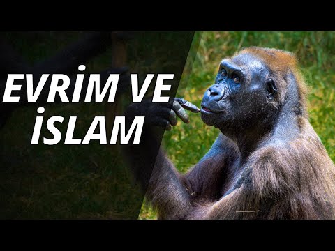 Evrim Teorisi Ve İslam