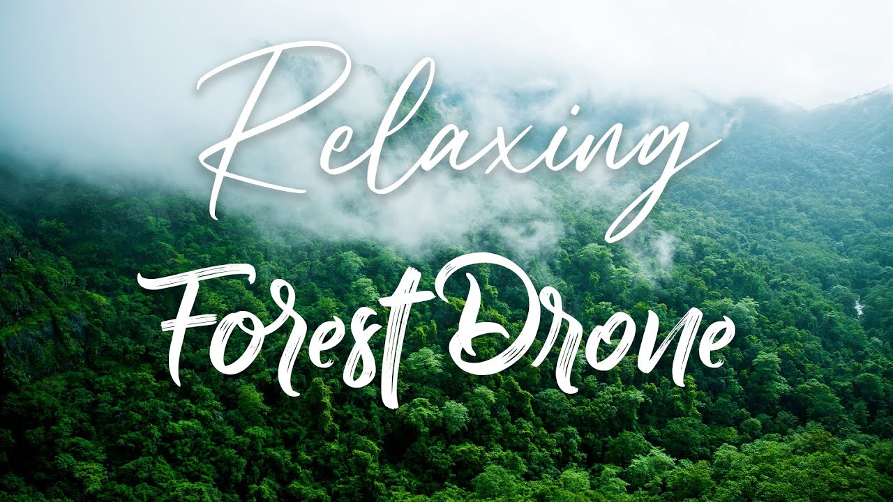 Relaxing Forest Drone | Relaxing Music & Calming 4K Nature | Sleep ...