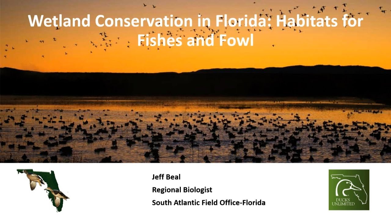 Florida Oceanographic Coastal Lecture Series - Wetland Conservation in ...