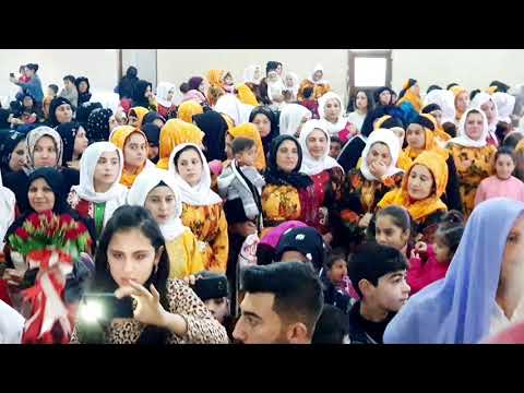 Mehmet Yoldaş Siverekte Böyle Düğün Görülmedi  2020 En Iyi Videosu