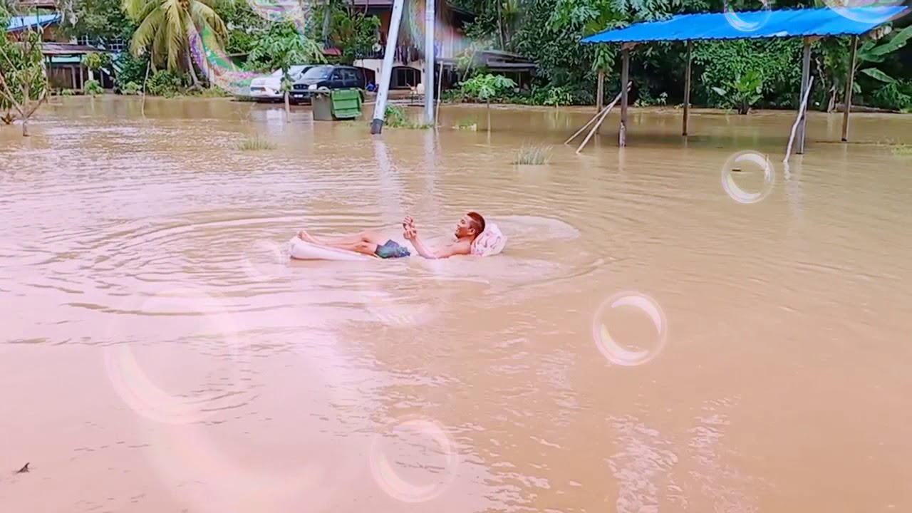 Swimming Happily In Flood Water - YouTube