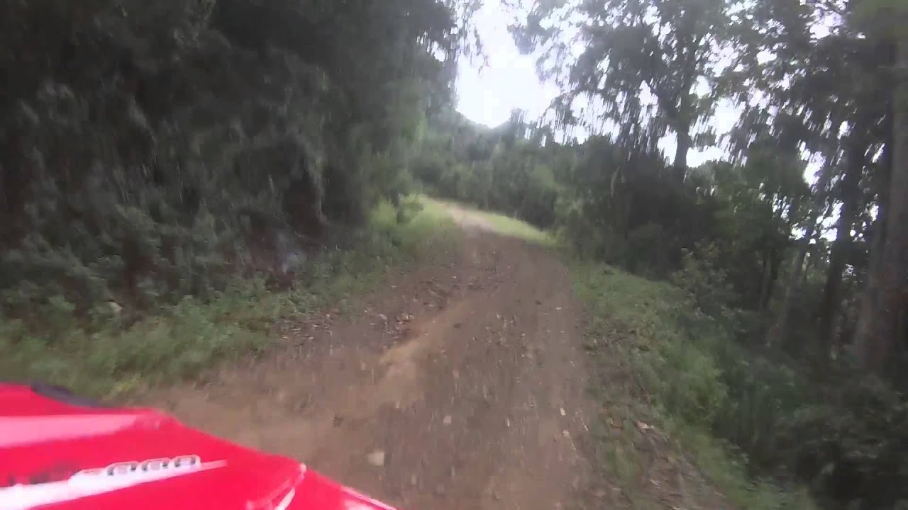 Cathu State Forest - YouTube