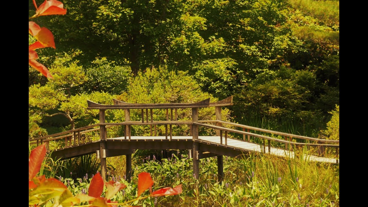 Mytoi Japanese Garden - YouTube