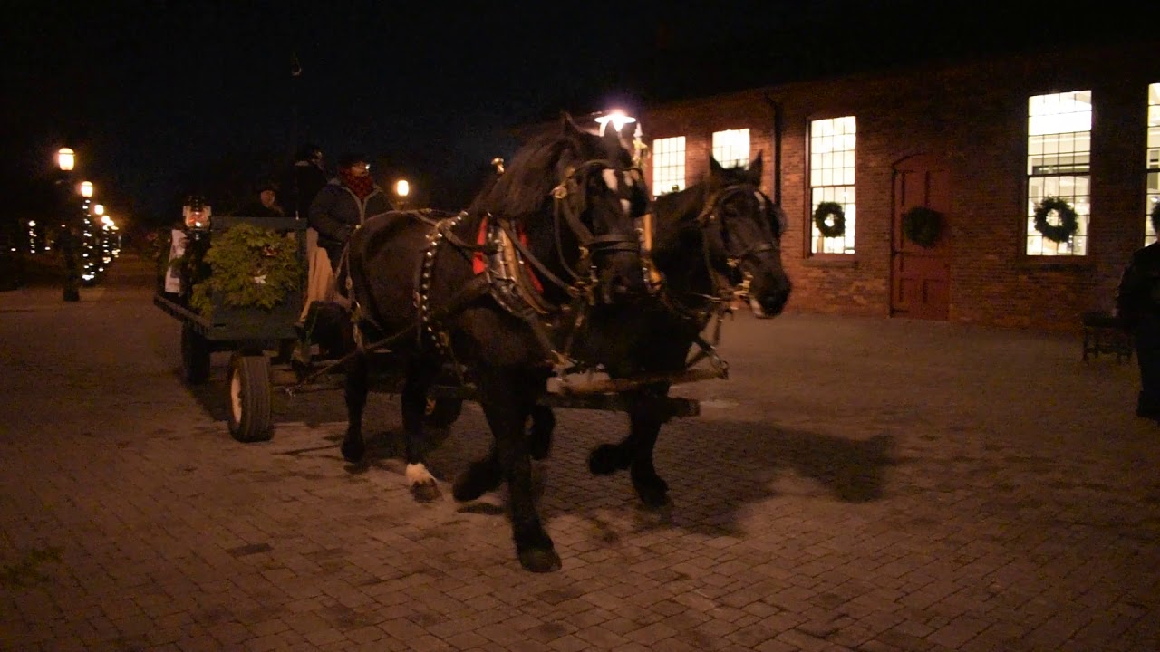 Holiday Nights 2018 Percheron Horses Going Back to the Barn - YouTube