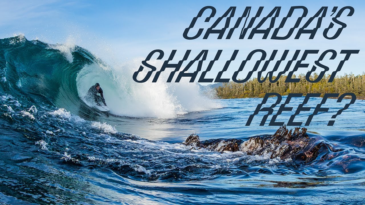 Is this Canada's SHALLOWEST cold water reef? Part 1 of 3 - YouTube