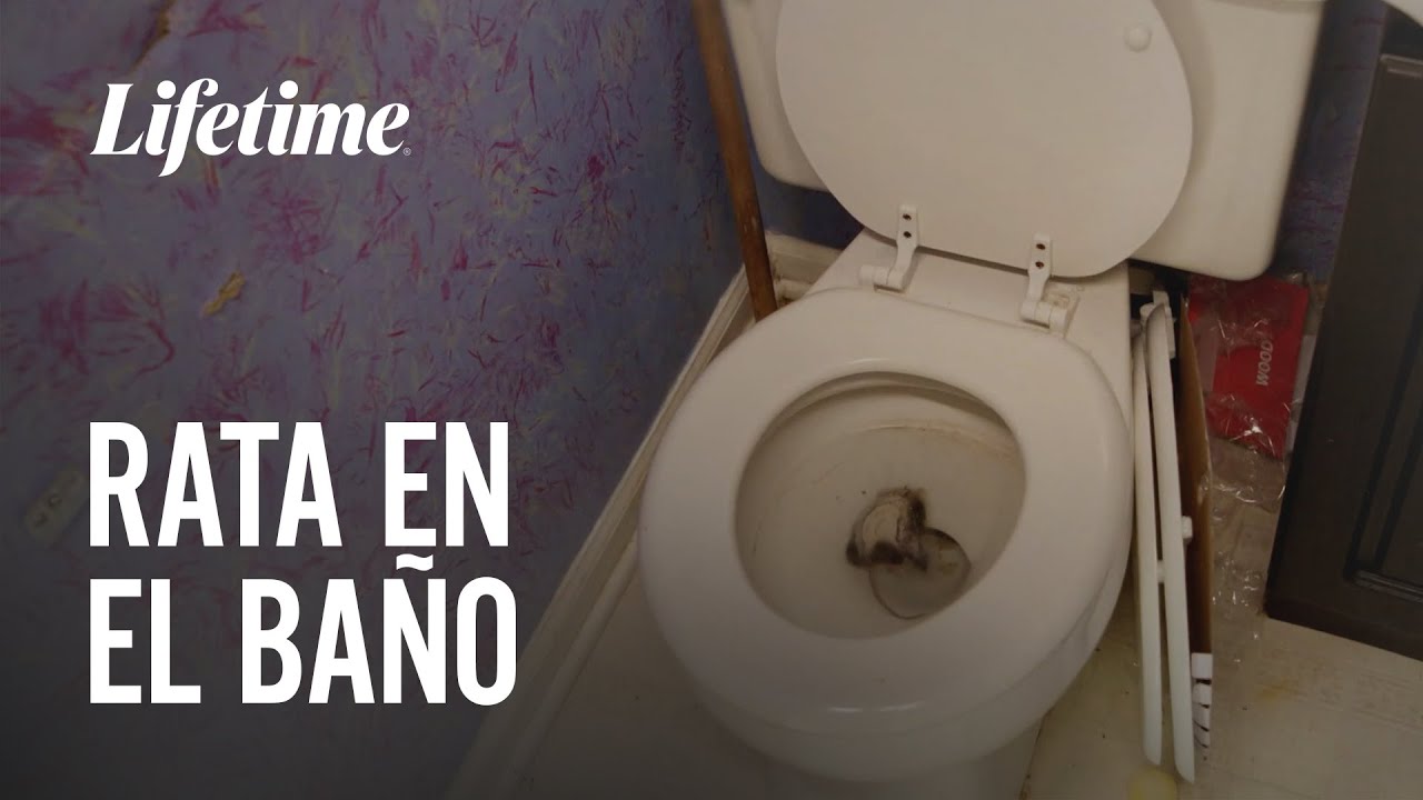 Transformando BASURA EN OPORTUNIDAD | RENOVACIÓN 50/50 🏚💸🏠 | E02 ...