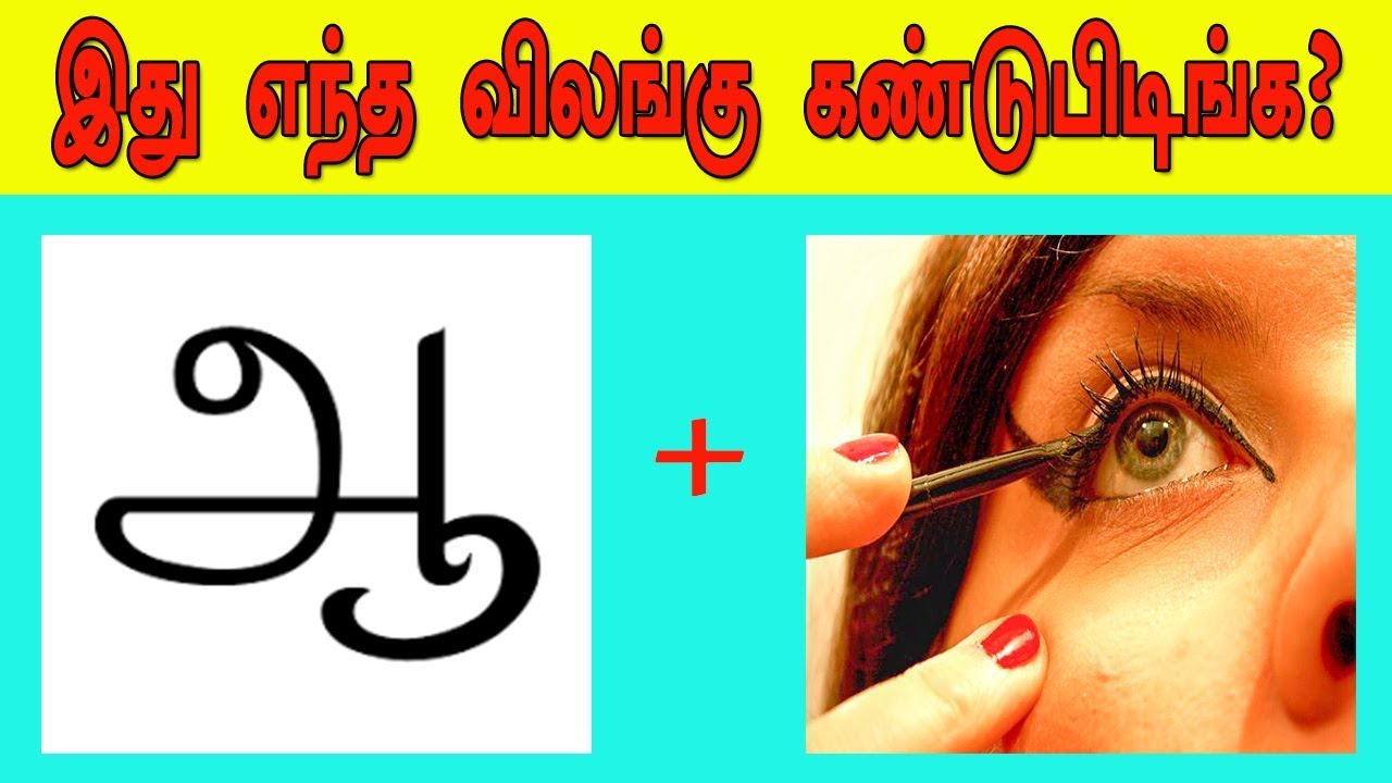Guess Animal Name Quiz Brain Games Test Your Brain Tamil Riddles With Answers Tamil Quiz guess-animal-name-quiz-brain-games-test-your-brain-tamil-riddles-with-answers-tamil-quiz