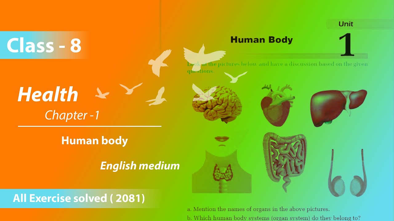Health class 8 unit 1 || human body all exercises in English Medium ...