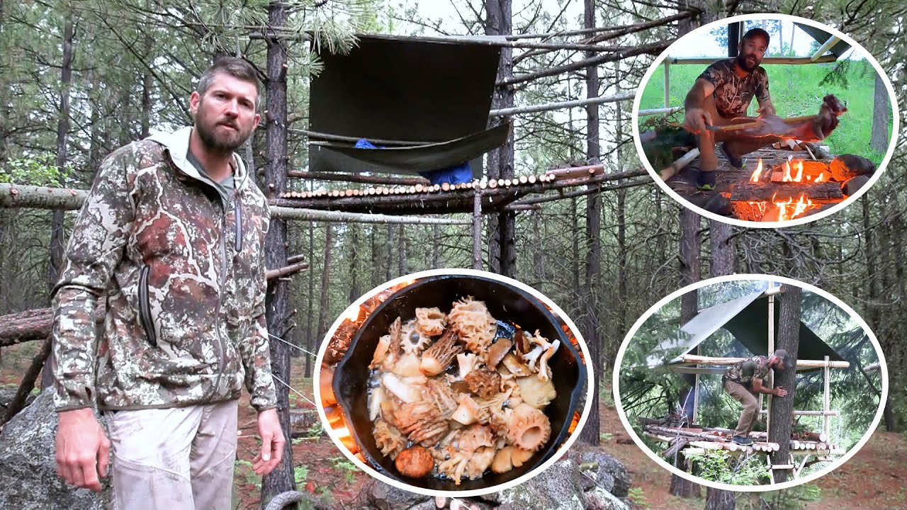 Alone：Previous season survival champions return, Build a 3-meter-high ...