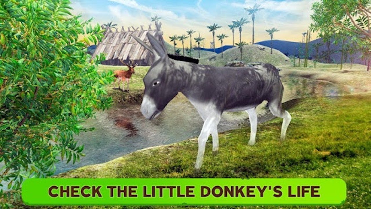 🐴Donkey Simulator Little Horse Wildlife Simulator-By Virtual Animals World-Android - YouTube