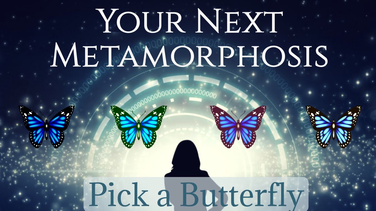 Your Next Metamorphosis. Timeless Pick a Card Tarot Reading - YouTube