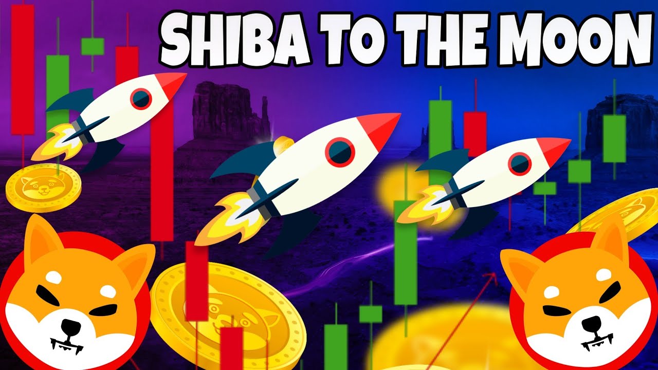 SHIBA TO THE MOON🔥Shiba Inu Criptomoneda 🚀Noticias Shiba Inu Hoy ...