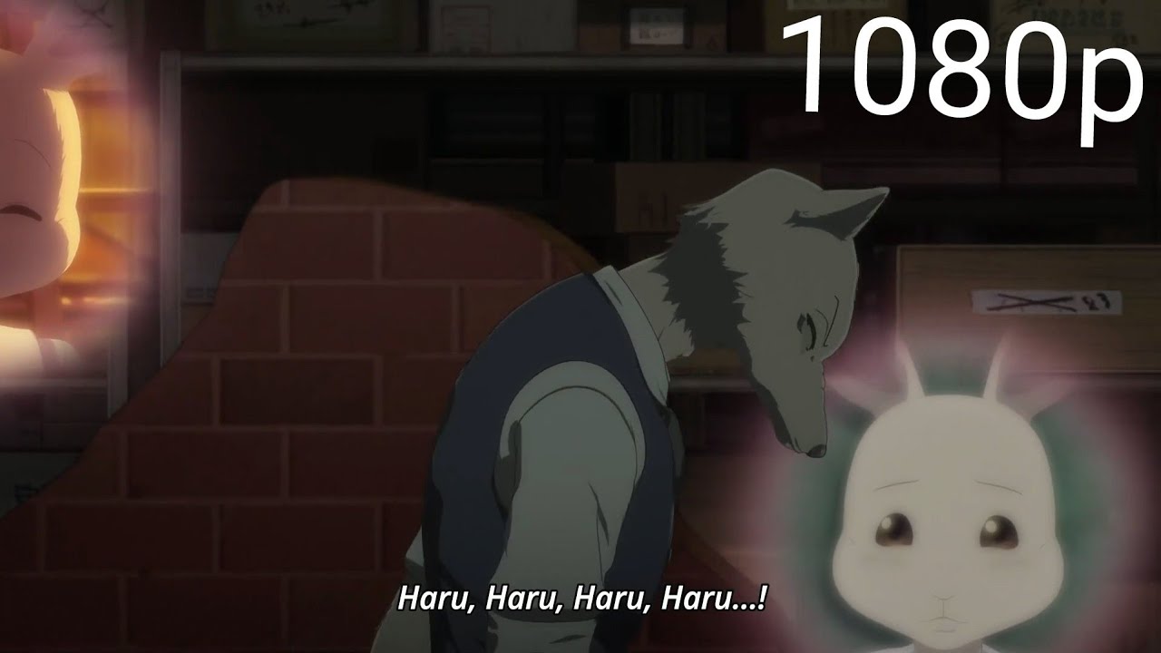 Legoshi about his crush Beastars s2 ep 5 1080p (English sub) - YouTube