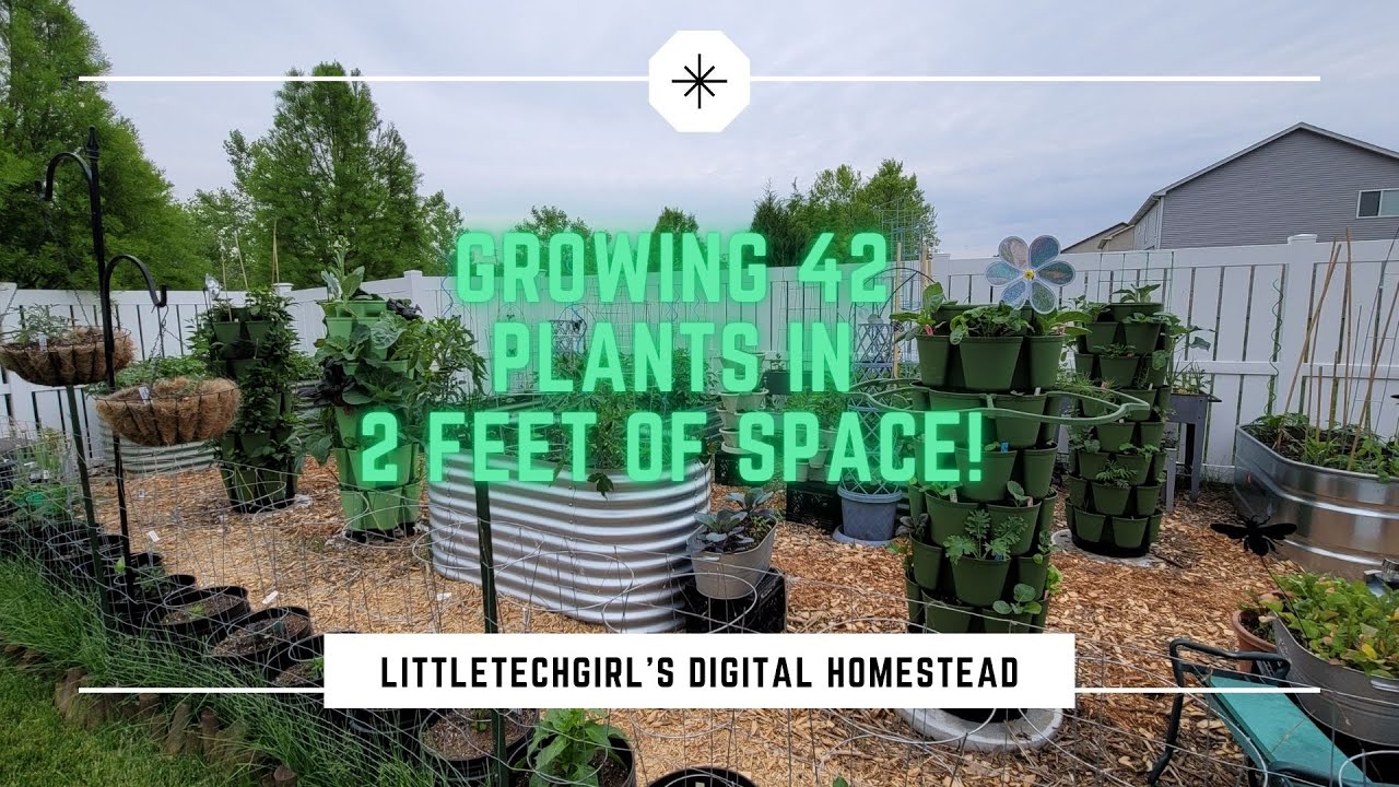 Growing 42 Plants in 2 feet of Space | GreenStalk Leaf Vertical Planter ...