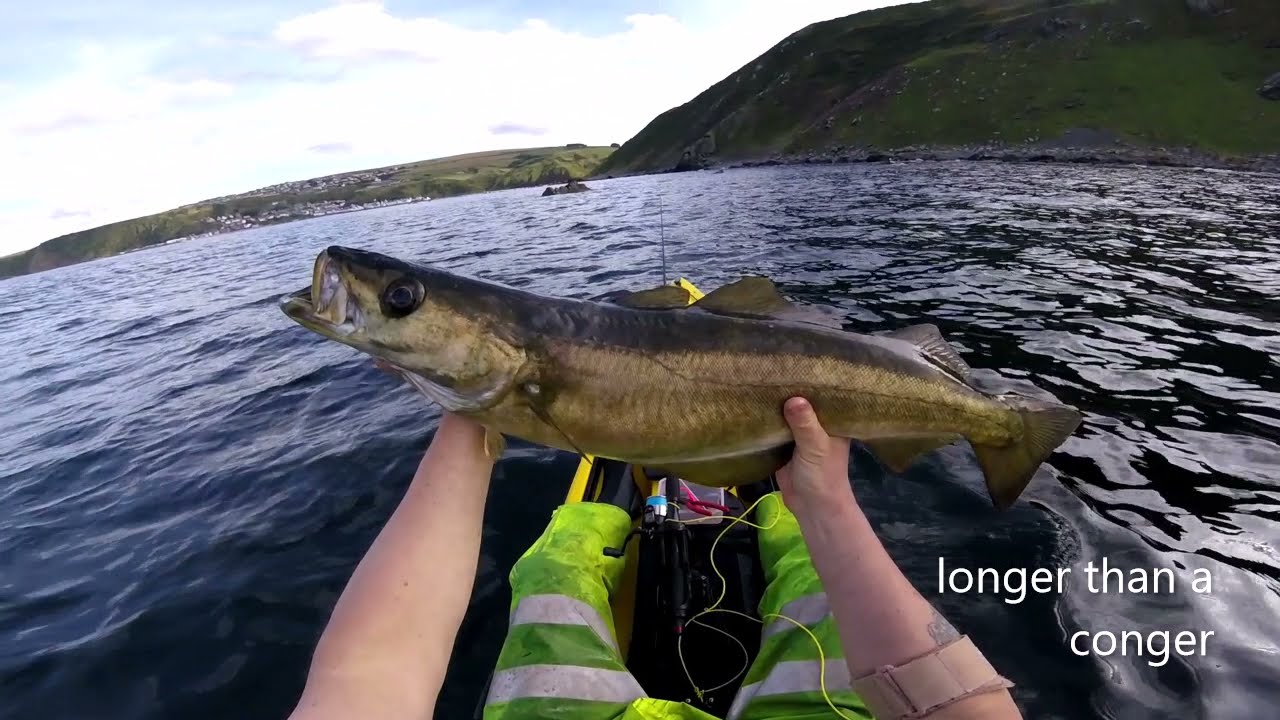 MONSTER POLLOCK FISHING ,SCOTLAND, UK - YouTube