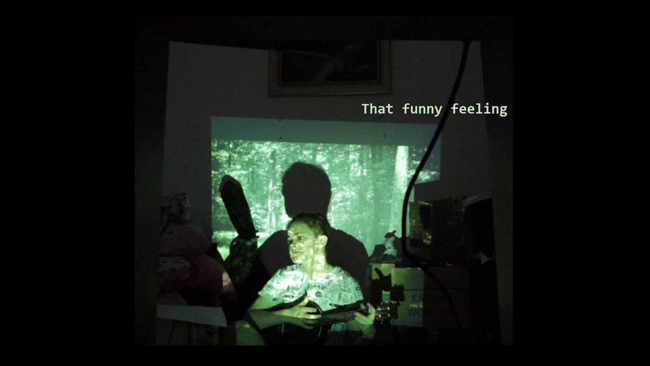 That Funny Feeling (original lyrics) -Bo Burnham cover - YouTube