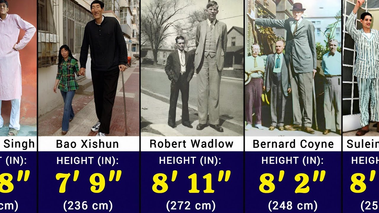 Comparison: Tallest People in the World - Height - YouTube