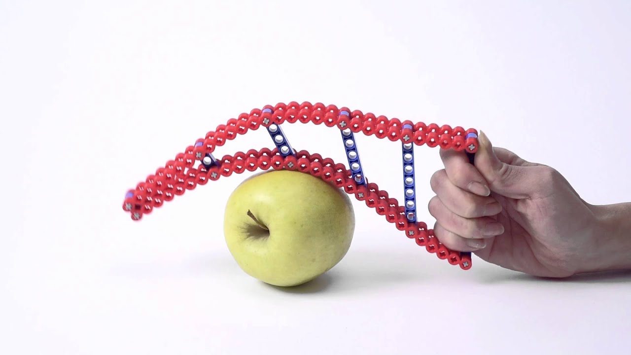 Combining bionicTOYS and other bricks e.g. LEGO® technic for Fin Ray ...