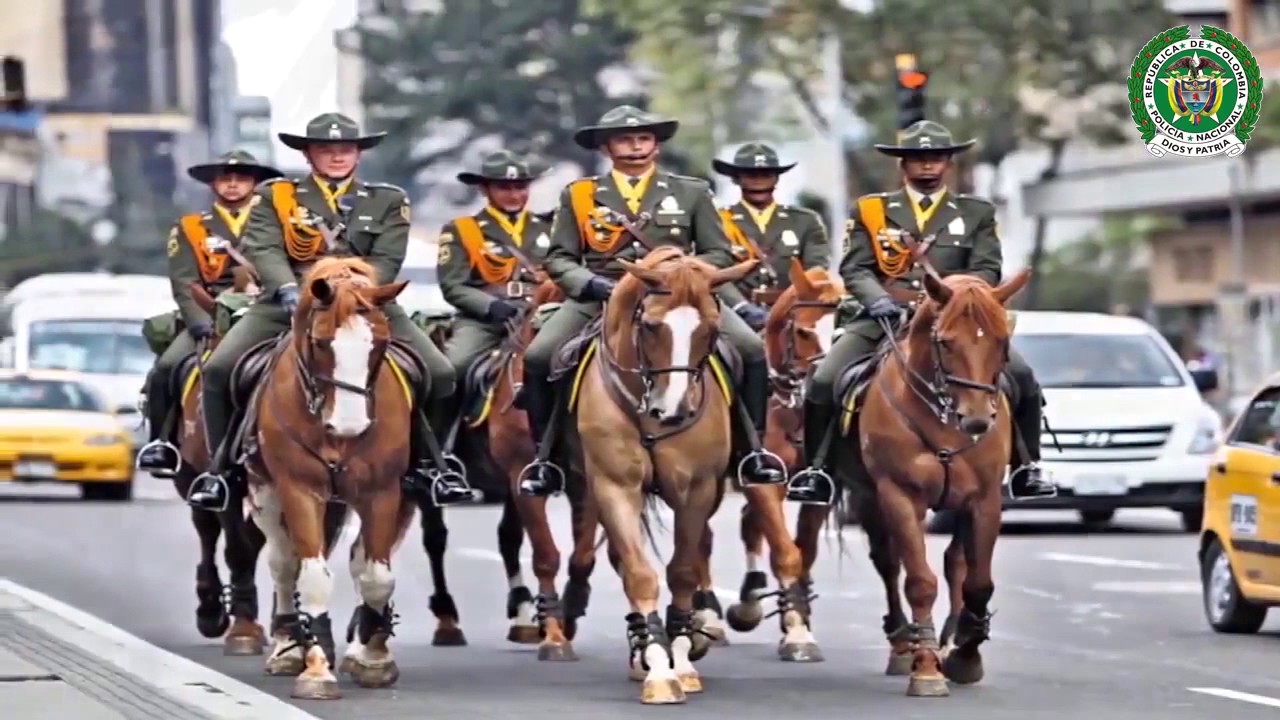 Dirección de Carabineros y Seguridad Rural DICAR - policiadecolombia ...