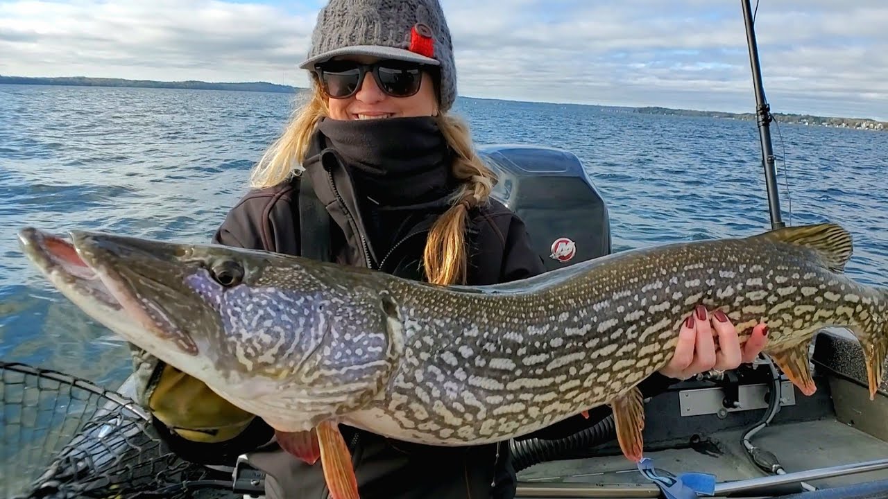 Fall Northern Pike Fishing With Livebait - How To - YouTube