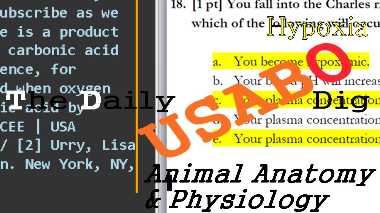 USABO - Hypoxia (Animal Anatomy and Physiology) - YouTube