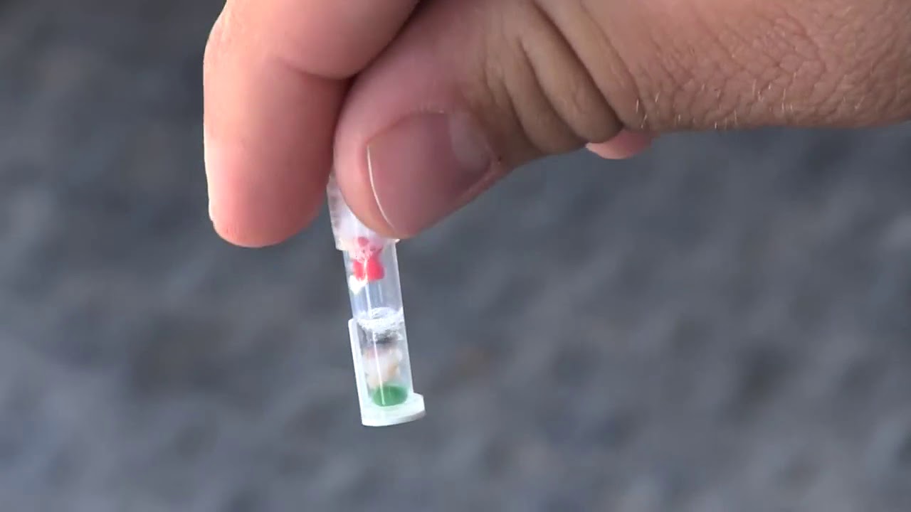 Allflex Tissue Sampling Tutorial - YouTube