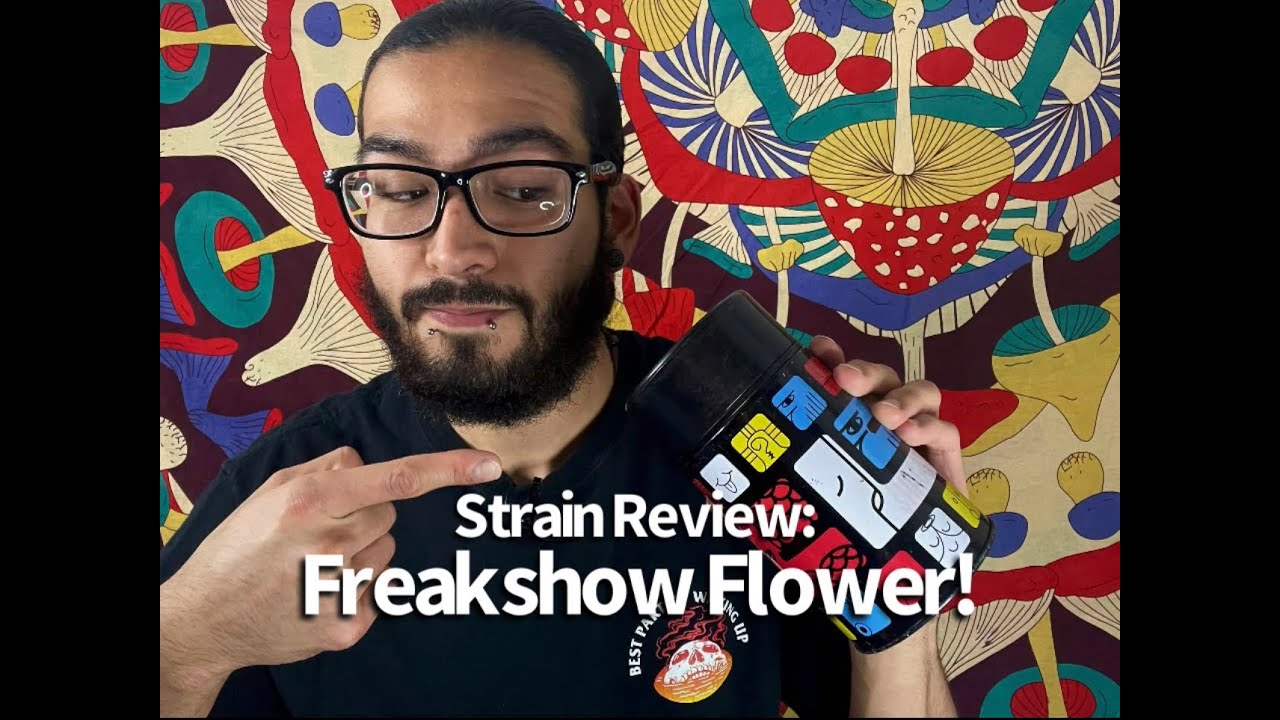 Strain Review: Freakshow Flower! - YouTube