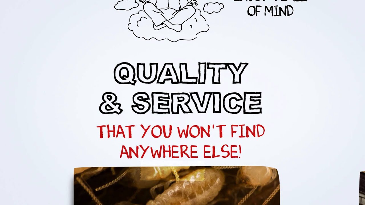 Termite Control Boca Raton FL | Boca Raton FL Termite Removal ...