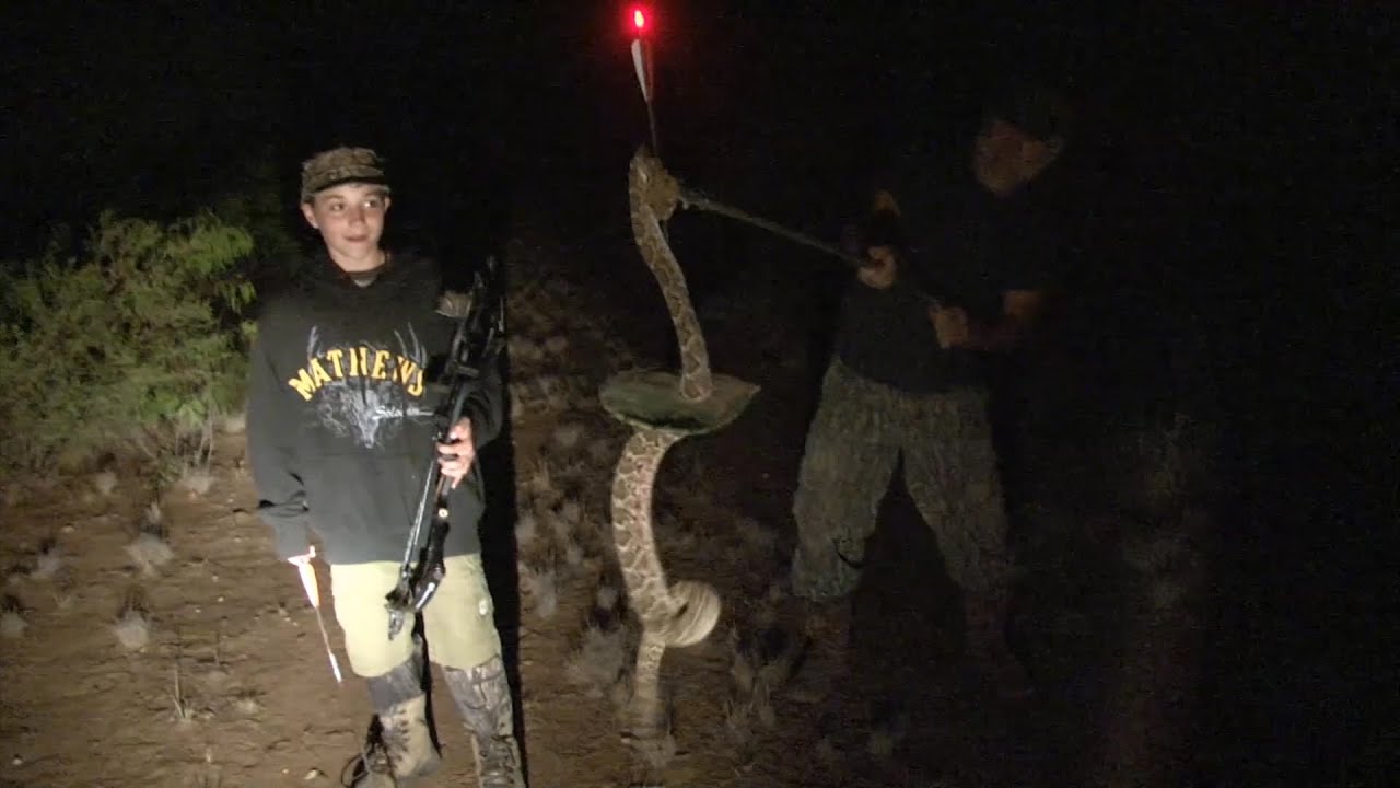 Giant Snake eats small boy. Well, ok, wants to. - YouTube